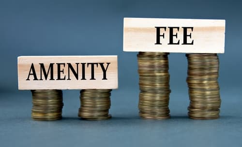 Understanding Amenity Fees: What Are They and Are They Justifiable?